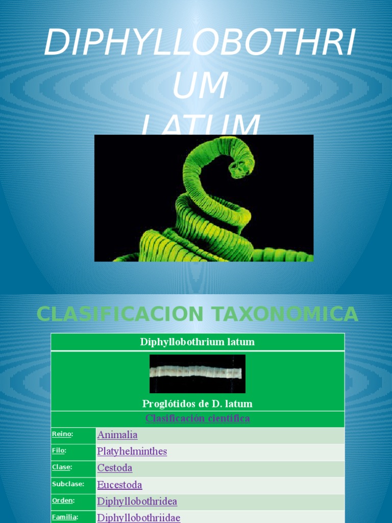 Diphyllobothrium | PDF | Salud y bienestar | Medicina