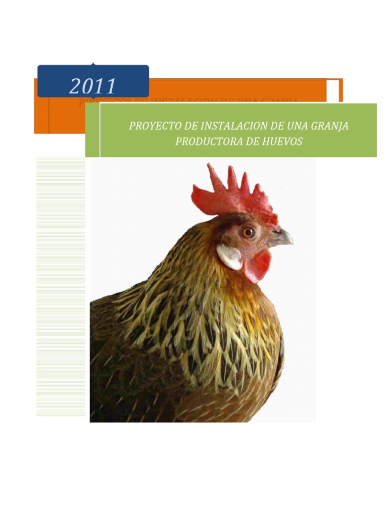 Proyecto de Gallinas PDF | PDF | Pollo | Aves