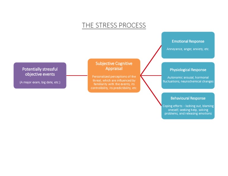 The Stress Process | PDF