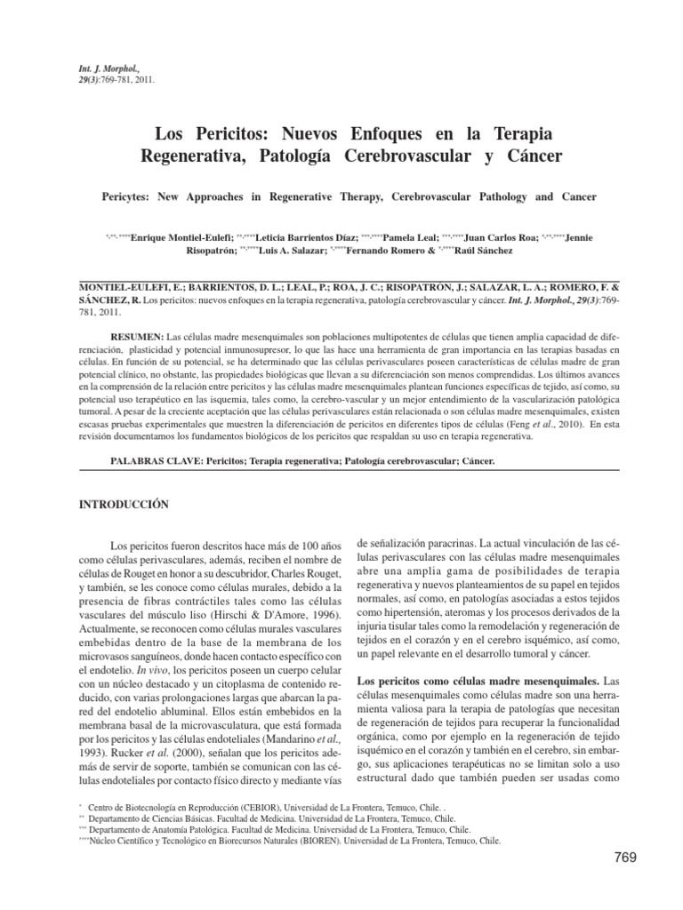 Pericitos | PDF | Angiogénesis | Endotelio