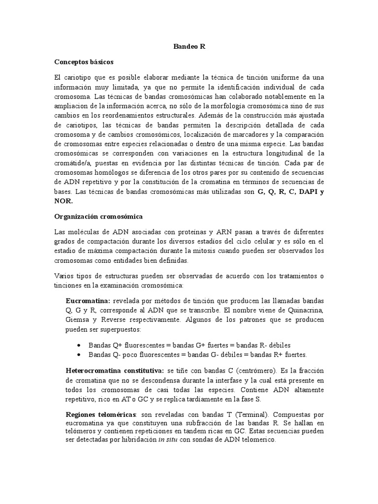 Bandeo R | PDF | Cromosoma | Adn