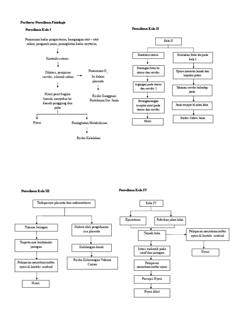 Pathway Persalinan New | PDF