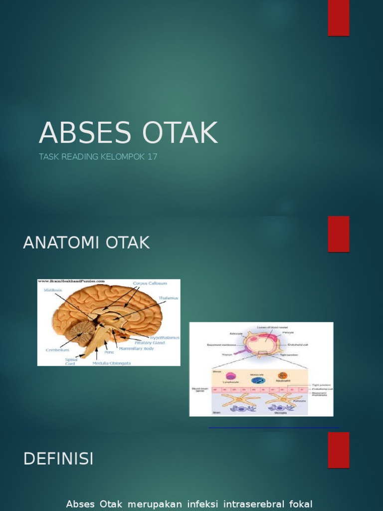 Abses Otak New Jamak | PDF
