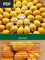 Mango Production and Management | PDF | Mango | Grafting