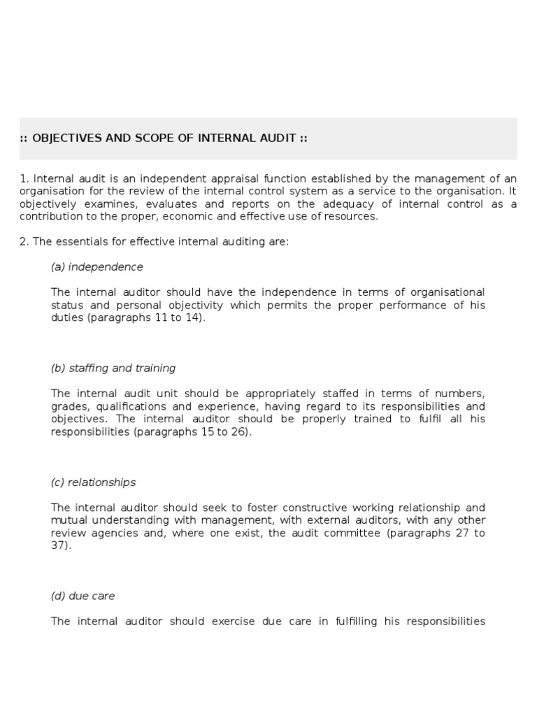 Internal Audit Essentials | PDF | Internal Audit | Internal Control