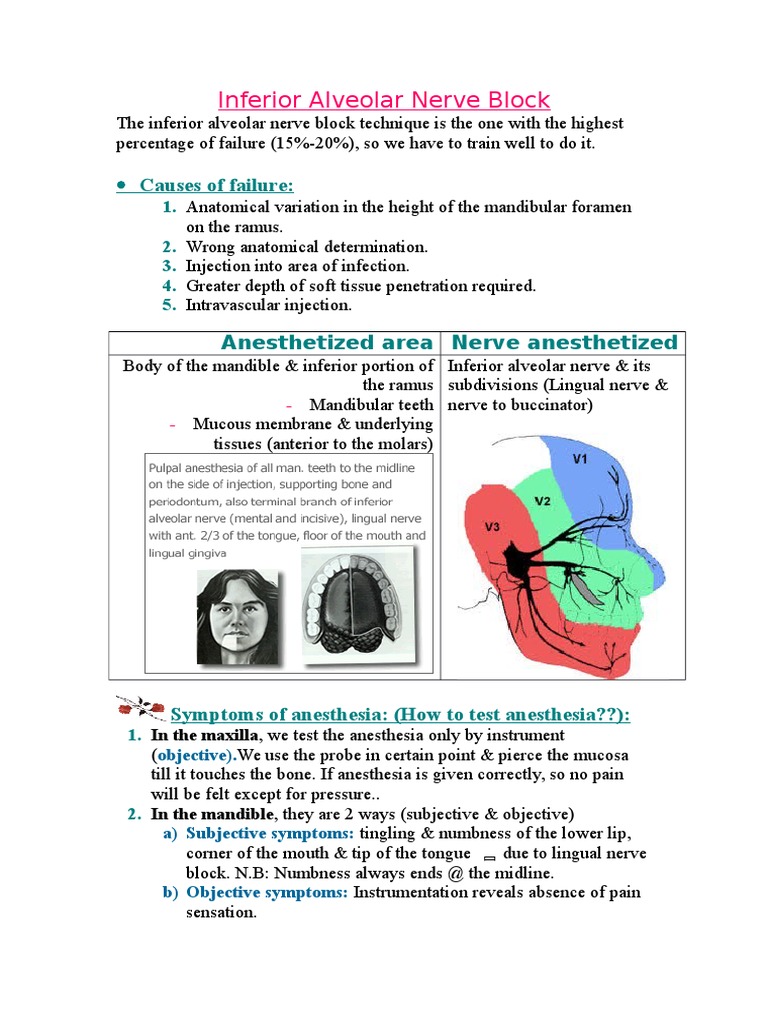 Inferior Alveolar Nerve Block | PDF | Anesthesia | Anatomical Terms Of ...