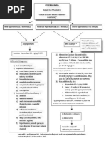 Code Stroke Algorithm | PDF | Stroke | Epidemiology
