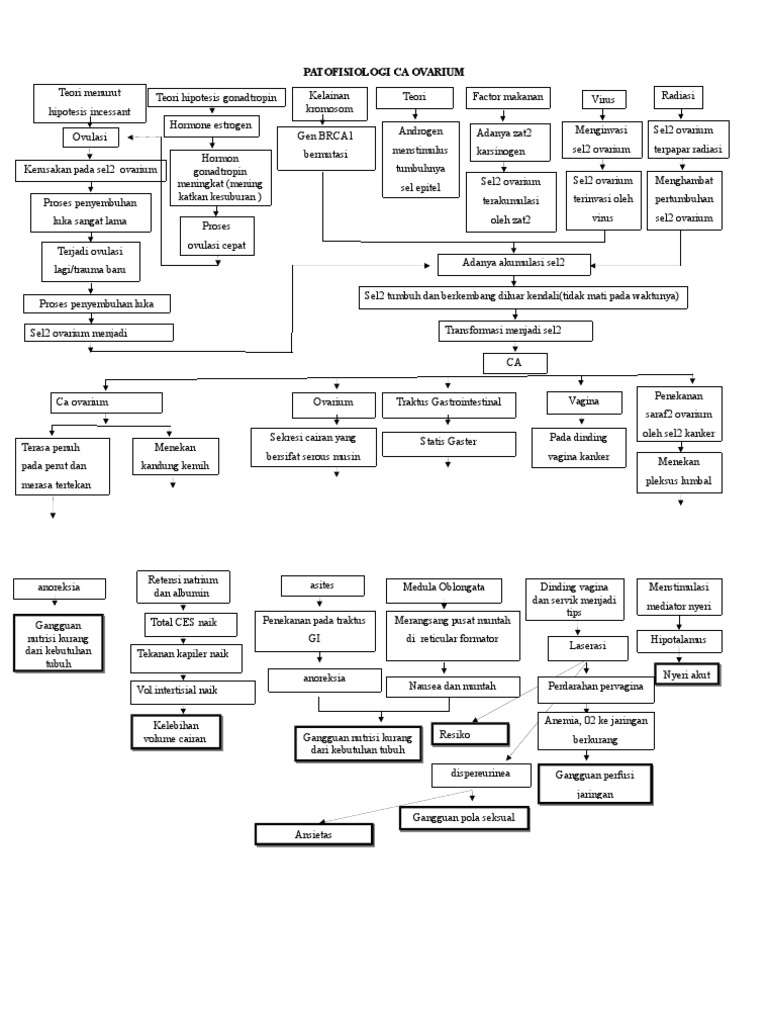 Patofisiologi CA Ovarium Revisian | PDF
