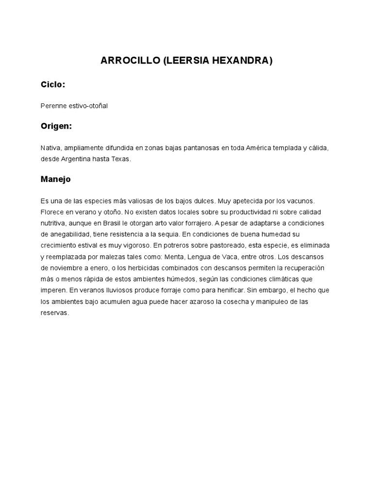 ARROCILLO | PDF