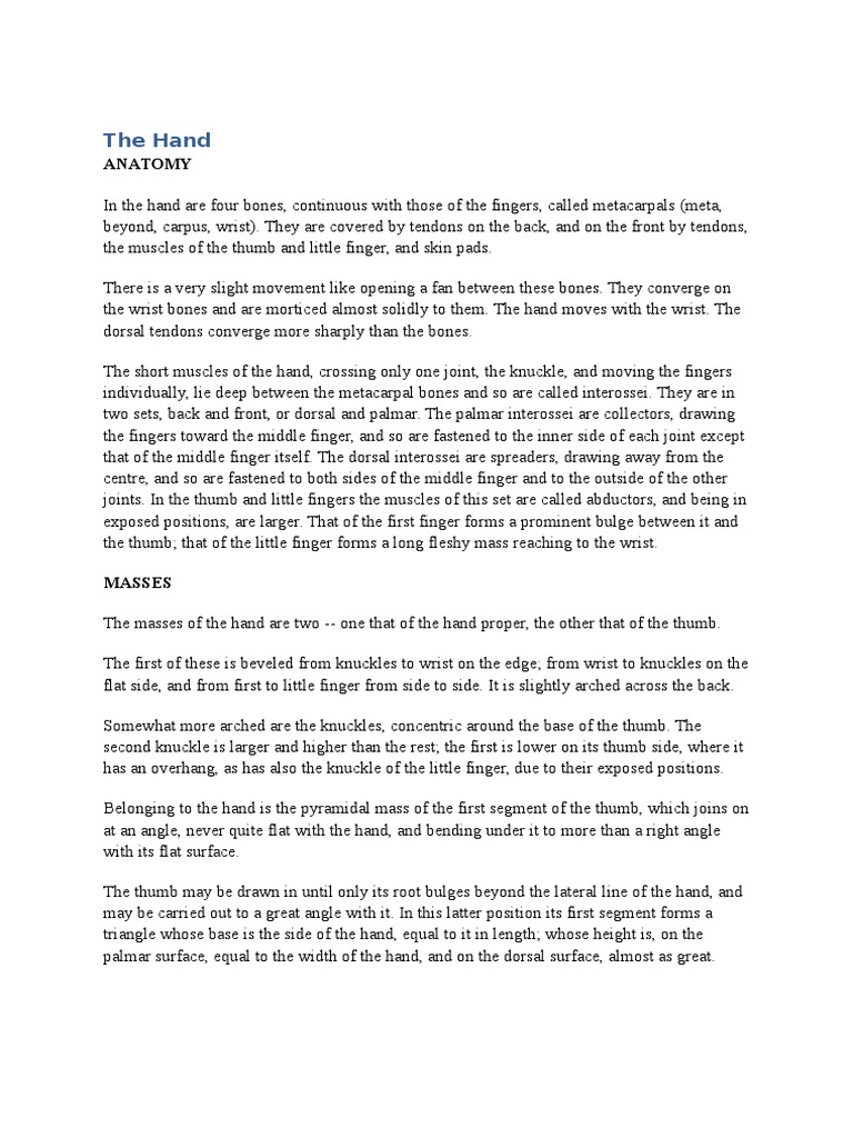The Hand | PDF | Hand | Thumb