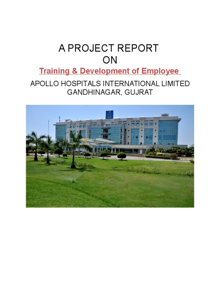 Employee Training & Development Report | PDF