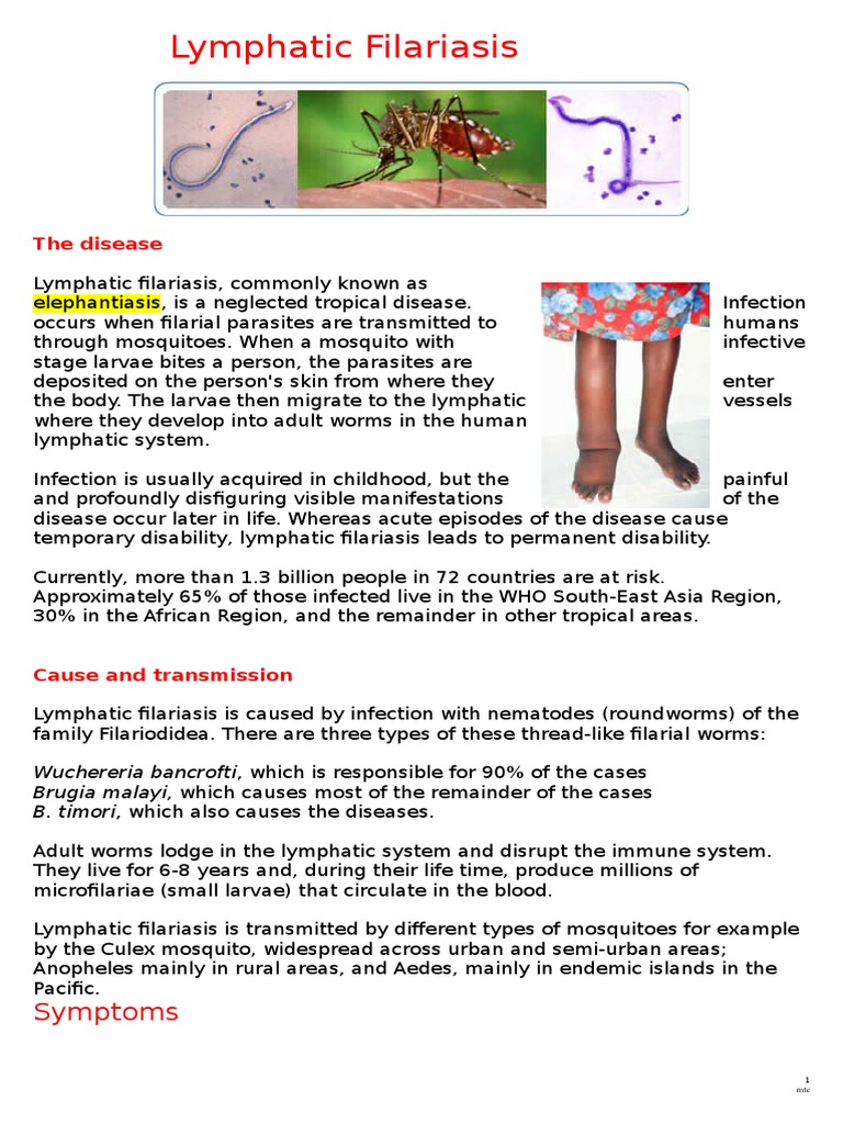 Filariasis | PDF | Immunology | Clinical Medicine