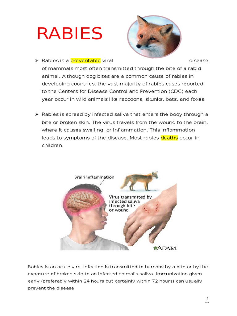 Rabies | PDF | Rabies | Immunology