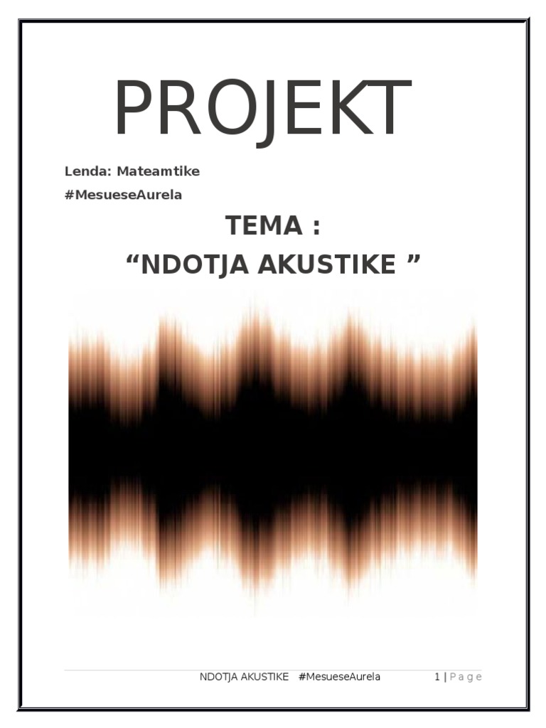 Ndotja Akustike | PDF