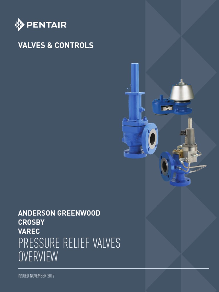 PSV Basics | PDF | Valve | Pressure