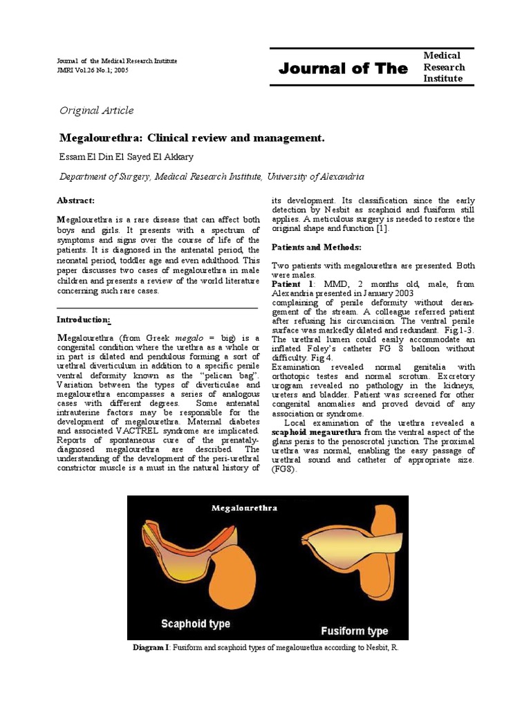Megalourethra - Clinical Review and Management | PDF | Urology ...