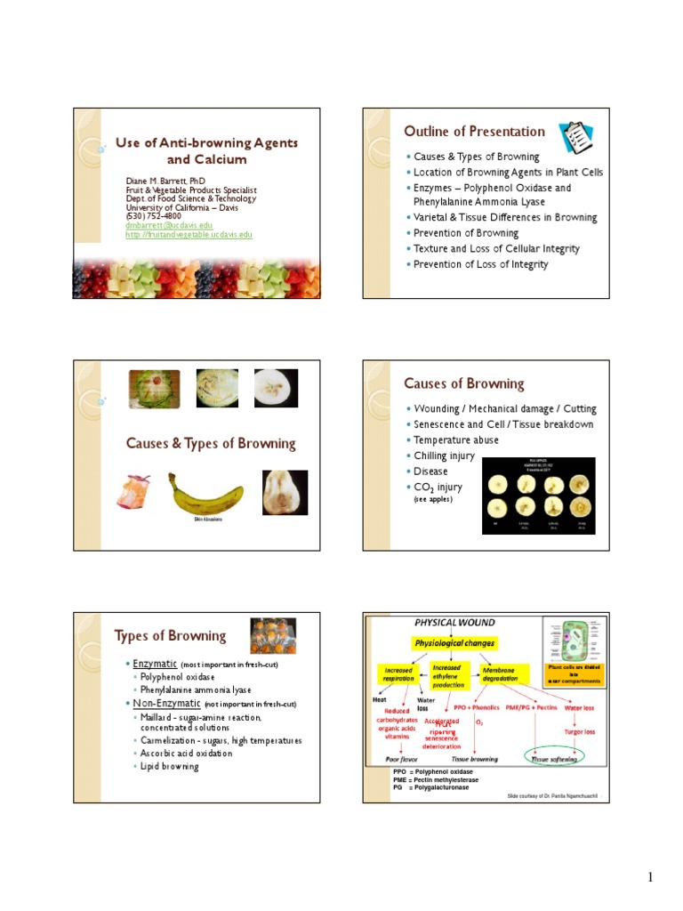 Anti Browning Agents | PDF | Polyphenol | Vacuole