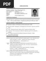 Curriculum Vitae | PDF | Tecnología digital | Software
