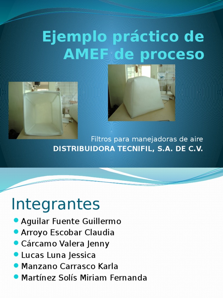 Ejemplo de AMEF de Proceso PRESENTACION | PDF | Informática ...