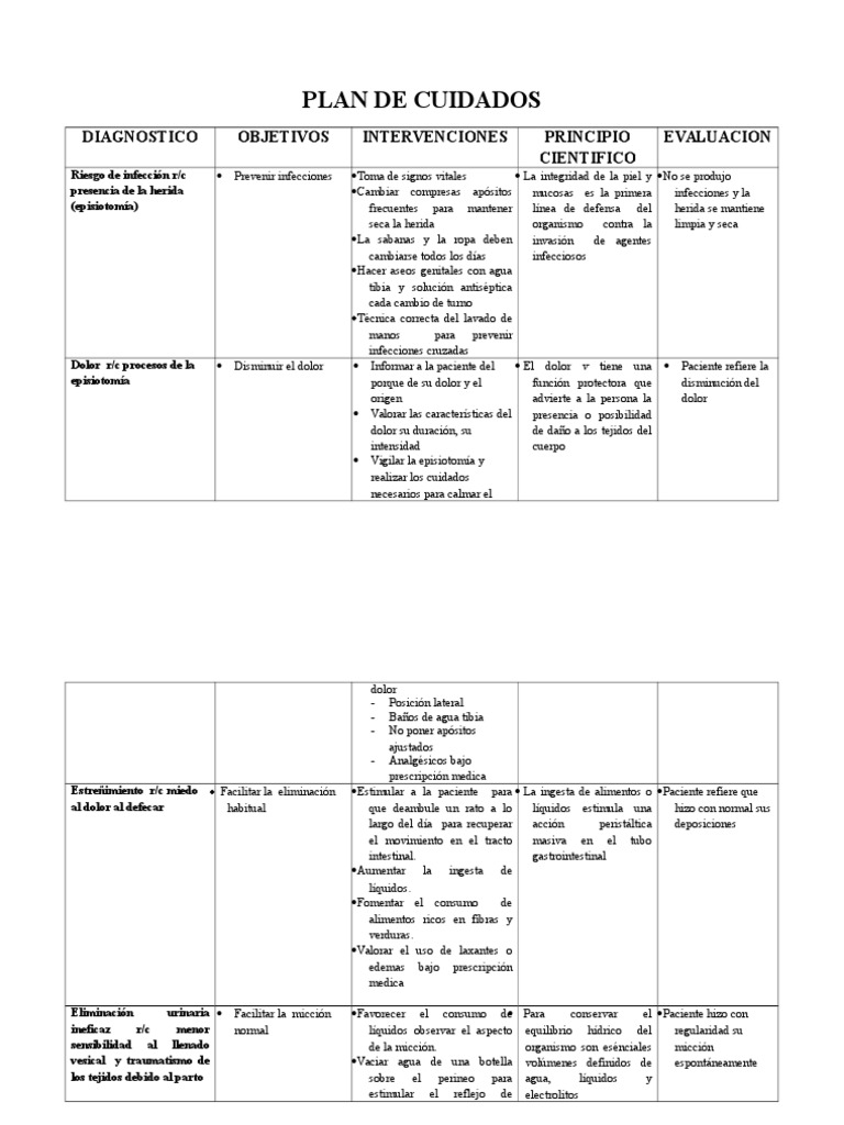 Plan De Cuidados Parto Pdf Parto Herida