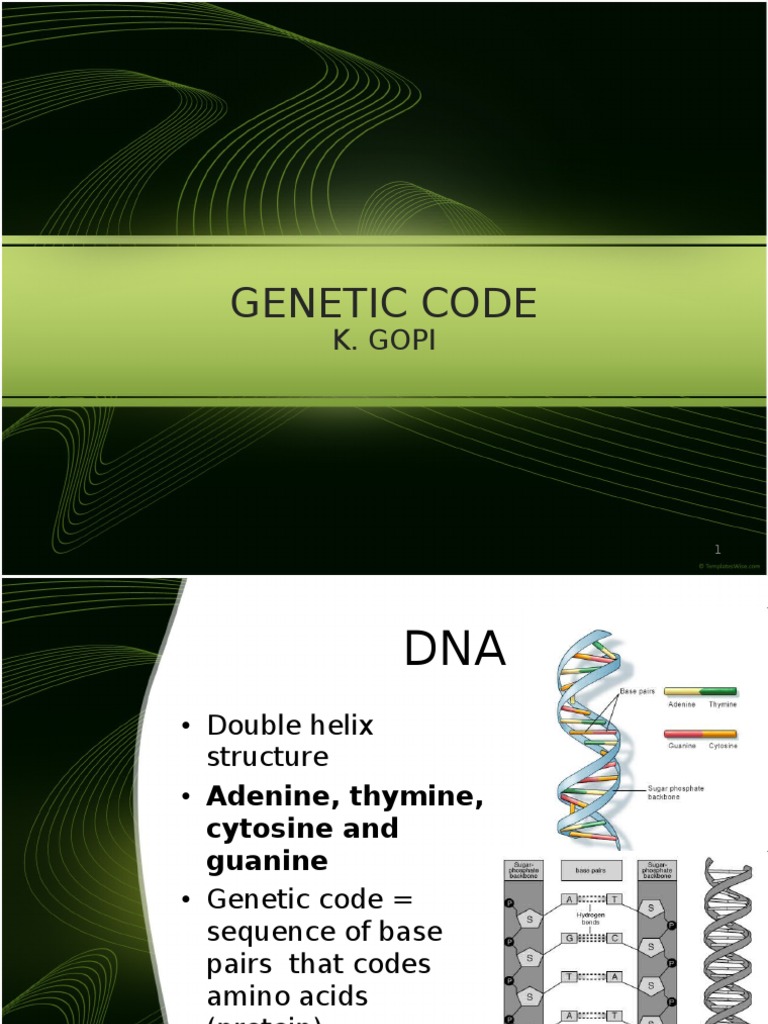 Genetic Code | PDF | Genetic Code | Translation (Biology)