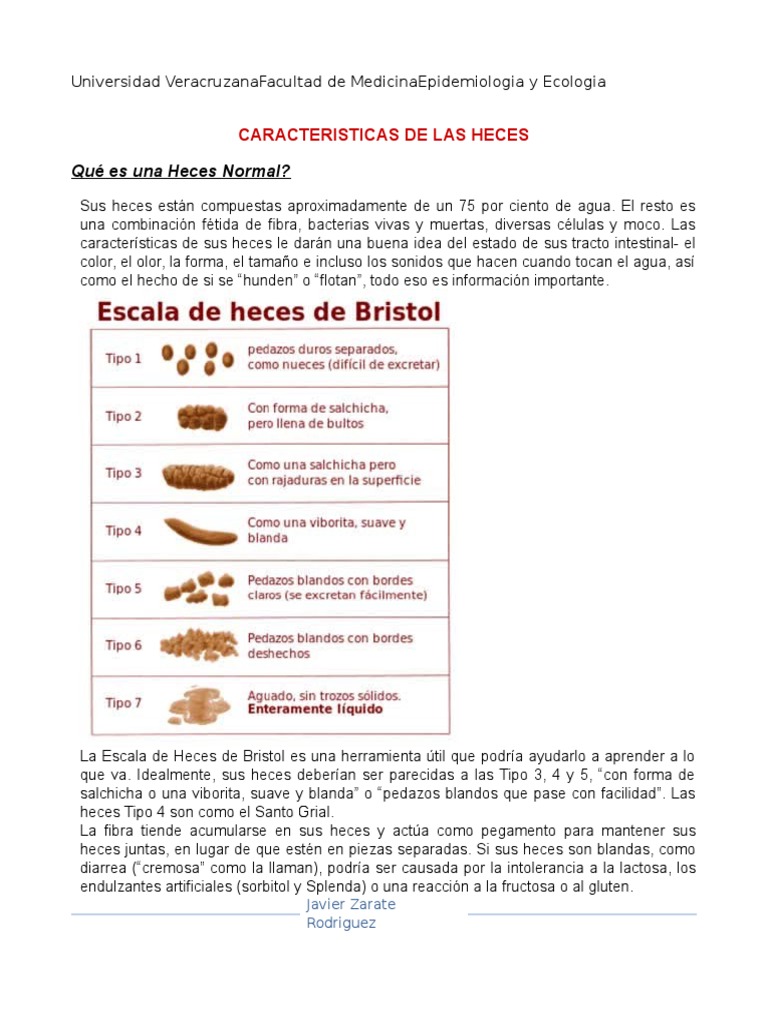 Características de las Heces Normales y Anormales | PDF | Heces ...