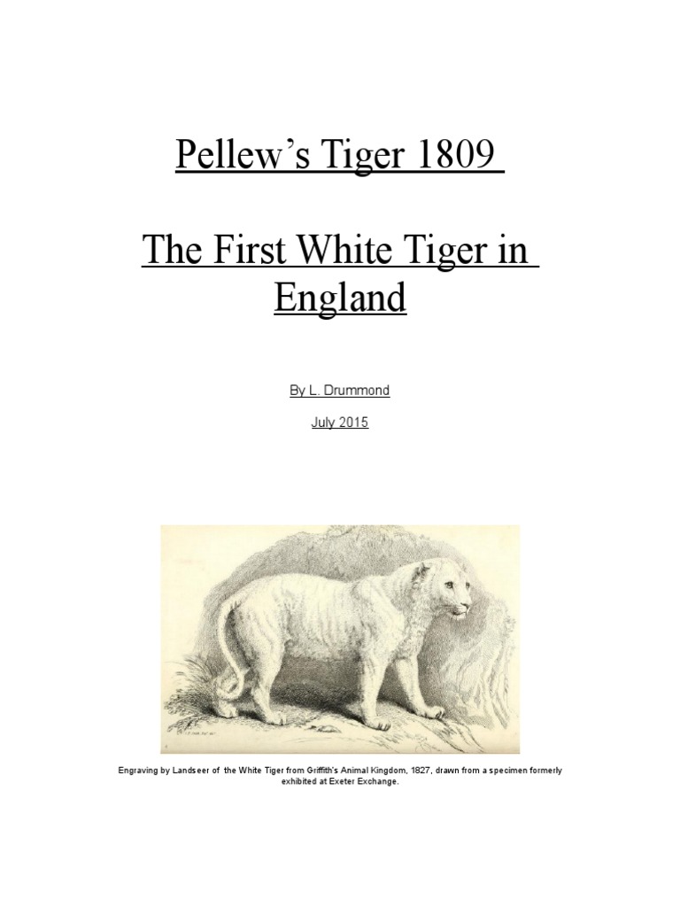 Pellew's Tiger 1809 - The First White Tiger in England | Download Free ...