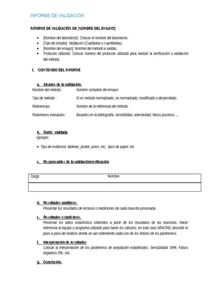 Modelo Informe de Validación