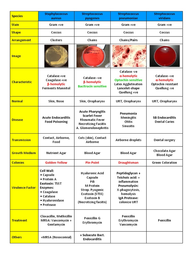 Microbiology Table 1.23123 | Download Free PDF | Streptococcus ...