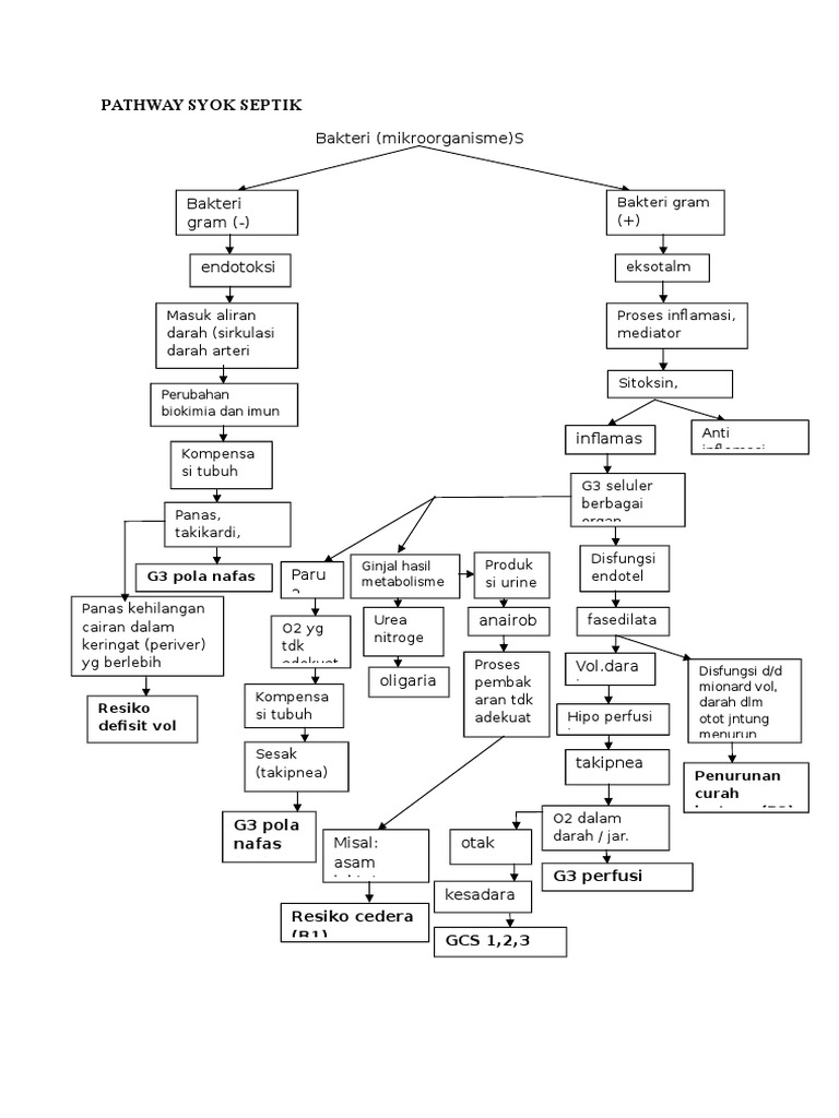 Pathway Syok Septik | PDF
