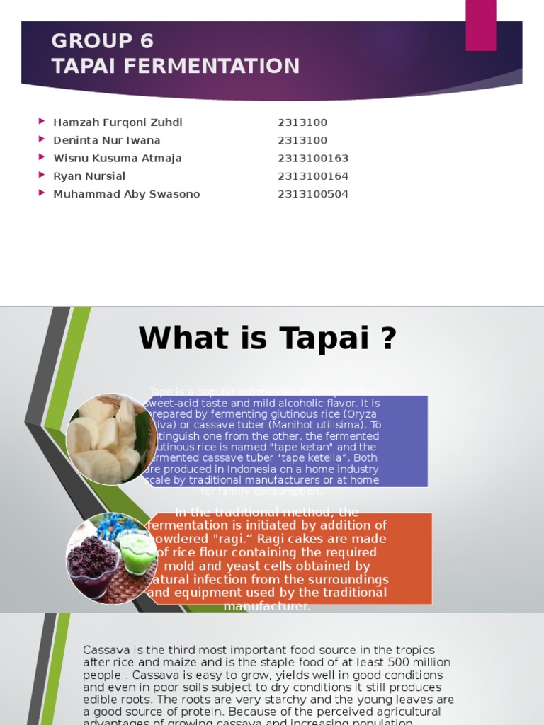 Analysis of Tapai Fermentation Process and Mechanisms | PDF | Yeast | Rice