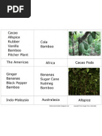 Herbs and Spices 3 Part Cards | PDF