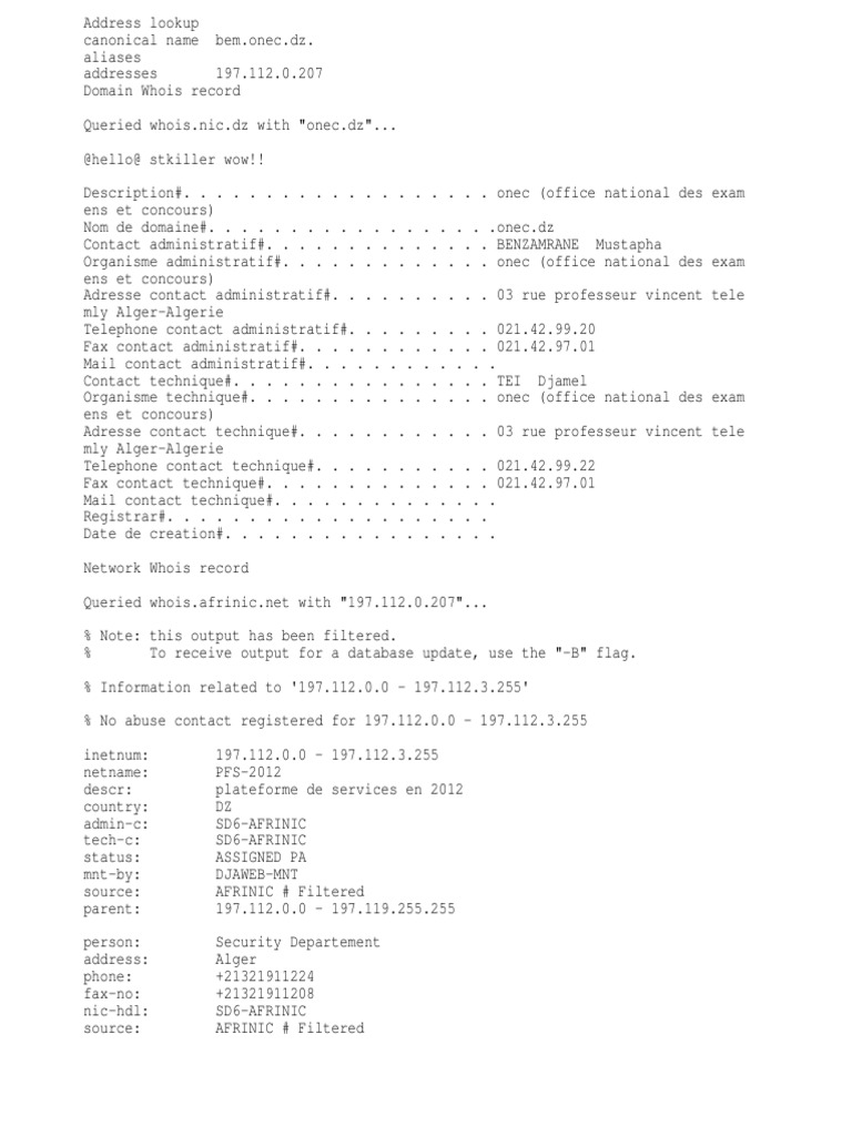 Bem Onec DZ | PDF | Domain Name System | Osi Protocols
