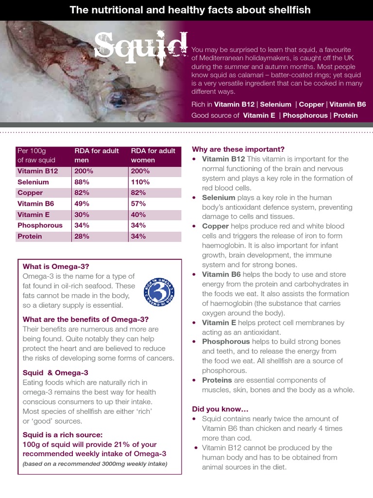 85098SAGB Squid Factsheet Final Lo-Res | PDF | Omega 3 Fatty Acid ...
