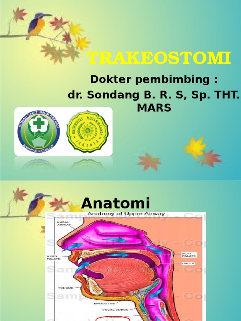 Trakeostomi | PDF