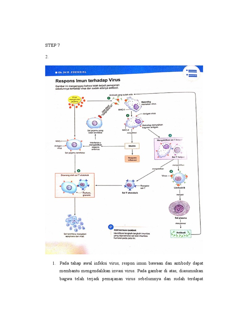Respon Imun Terhadap Virus | PDF
