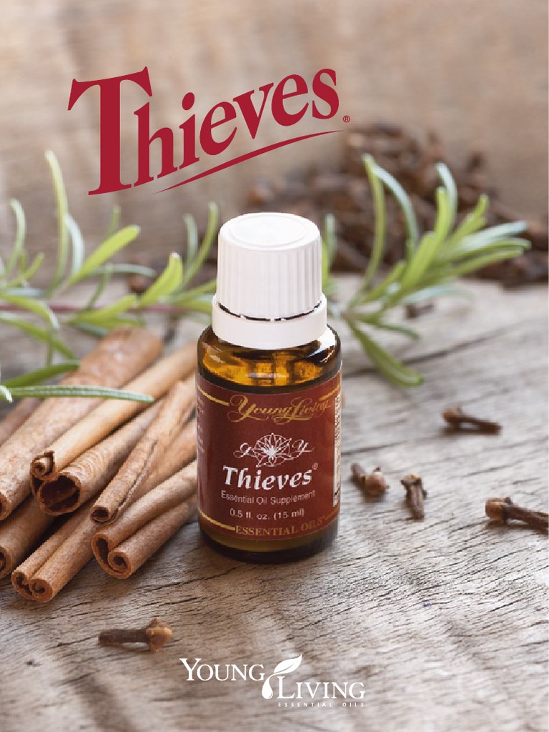 Lit Thieves Booklet | PDF