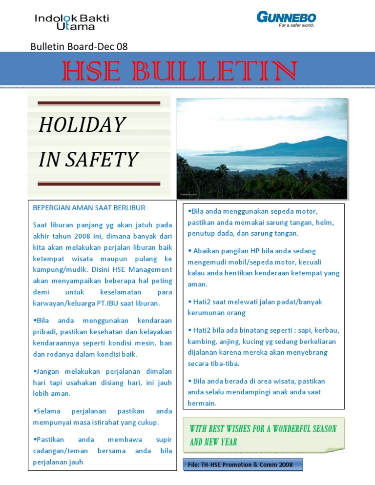 HSE Bulletin Dec08 | PDF