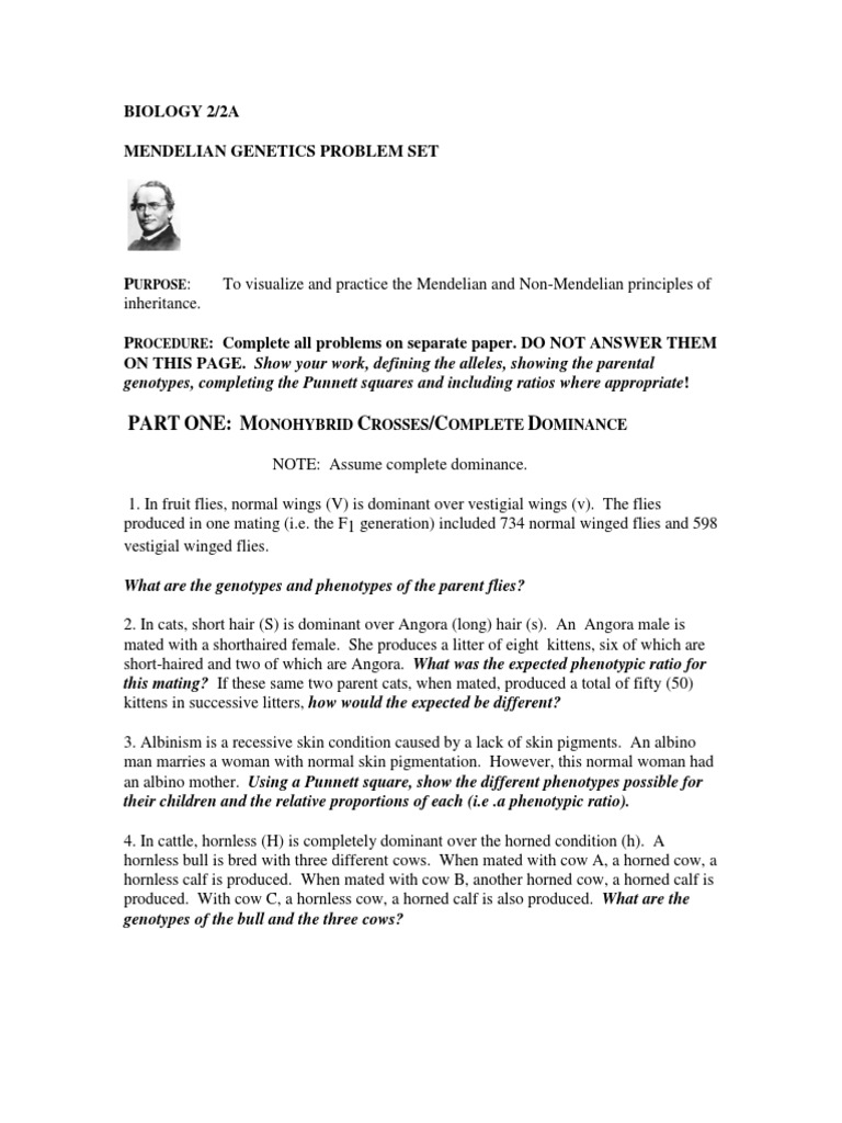 Mendelian Genetics Problem Set Hon Bio Pdf Dominance Genetics