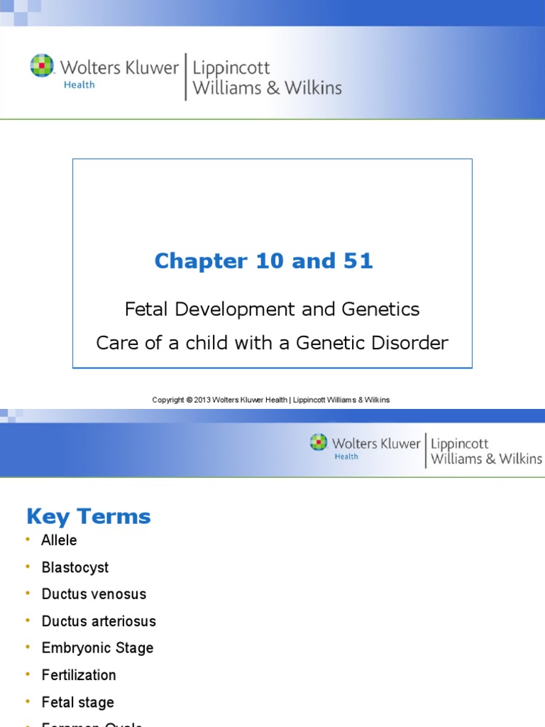 Chapter 10 and 51: Fetal Development and Genetics Care of A Child With ...