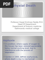 Autopsy of A Dill Pickle Person Lab | PDF | Abdomen | Anatomical Terms ...