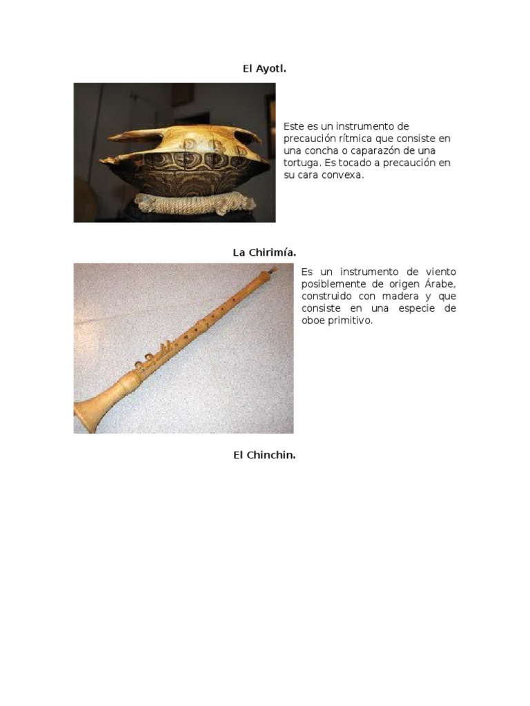 Instrumentos Autoctonos | PDF | Instrumentos musicales ...