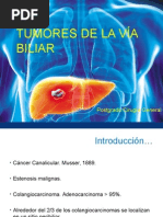 Introducción A Las Triadas Del Método Yuen | PDF | Karma | Alma