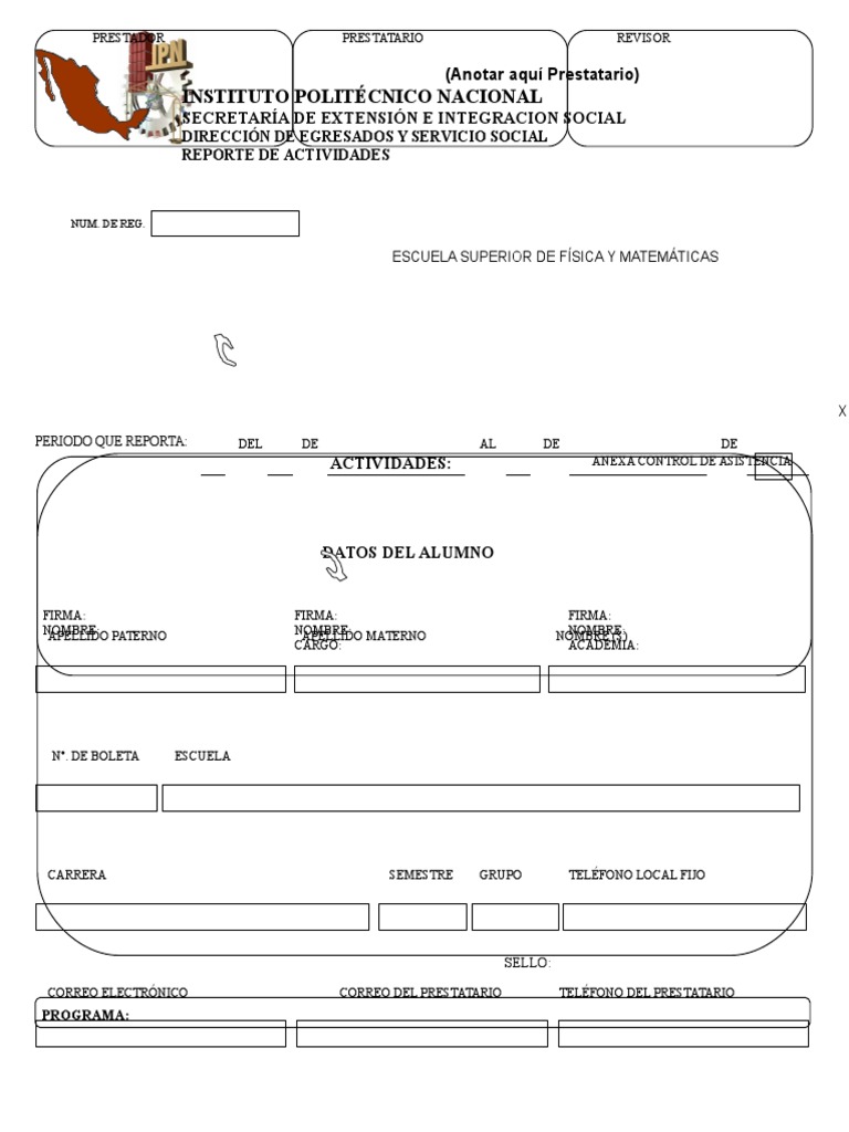 01 Reporte Mensual Actividades | PDF