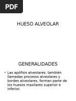 Proceso Alveolar | PDF | Hueso | Anatomía