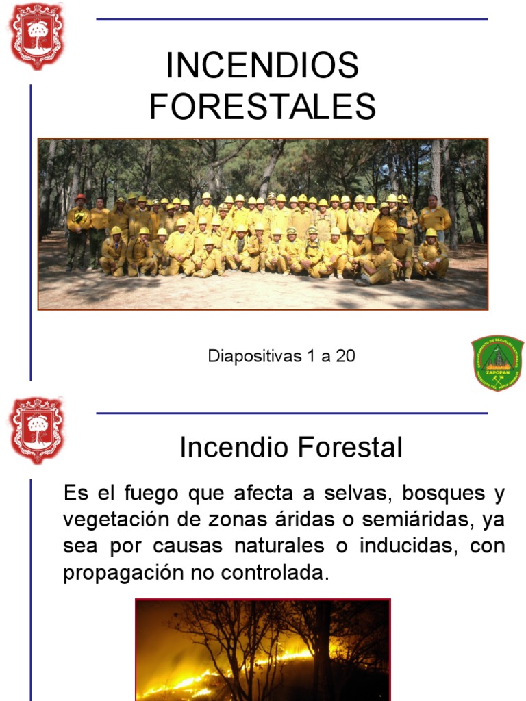 Presentacion Curso Incendios (Parte1.1) | PDF