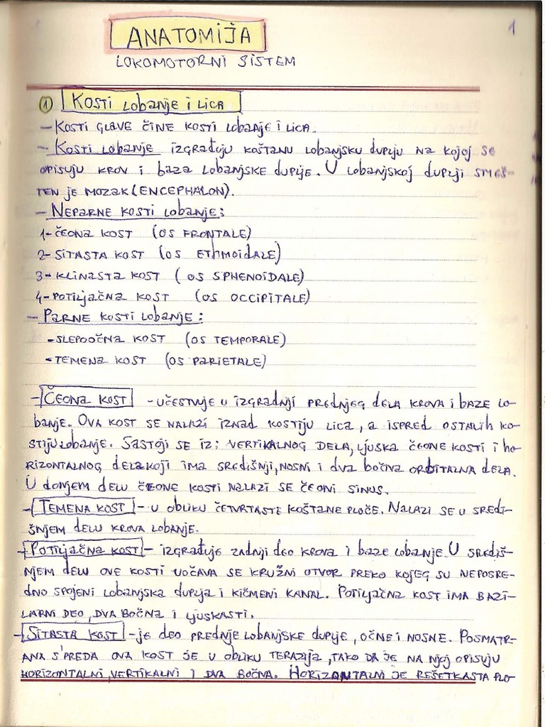 Anatomija Skripta Za Srednju Skolu | PDF