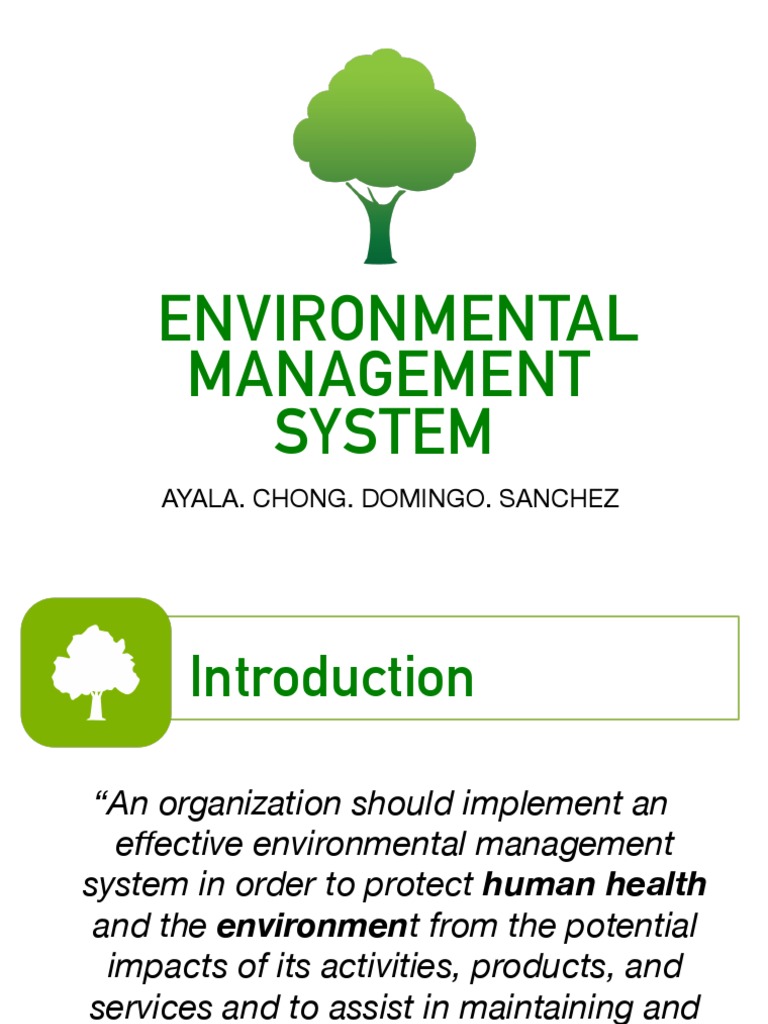 Environmental Management System | PDF | Environmental Resource ...