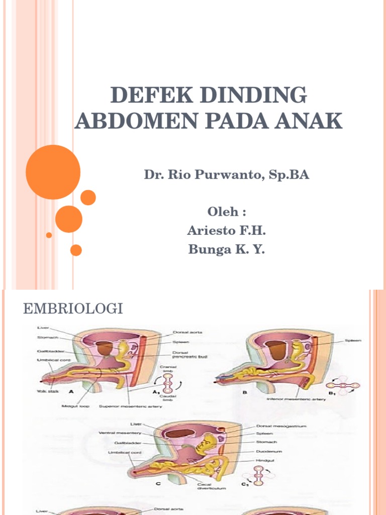 Defek Dinding Abdomen Anak | PDF