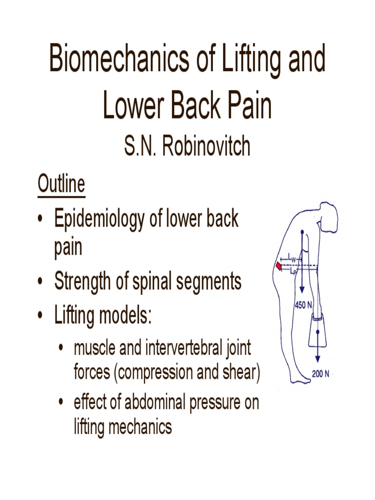 Biomechanics Lifting p1 1pp | PDF | Vertebral Column | Musculoskeletal ...